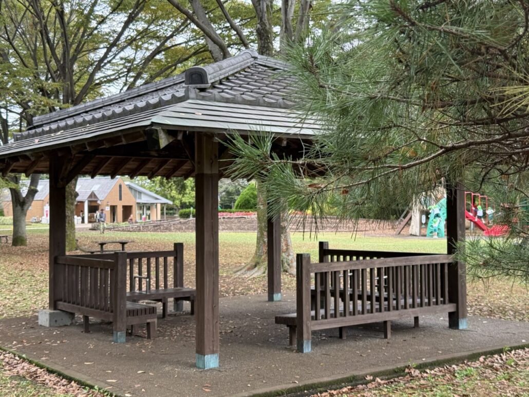 iPhone16 Pro実機レビュー！2ヶ月以上使ったメリット・デメリットを本音で暴露!新機能の使い心地は？ | 株式会社 IoTコンサルティング