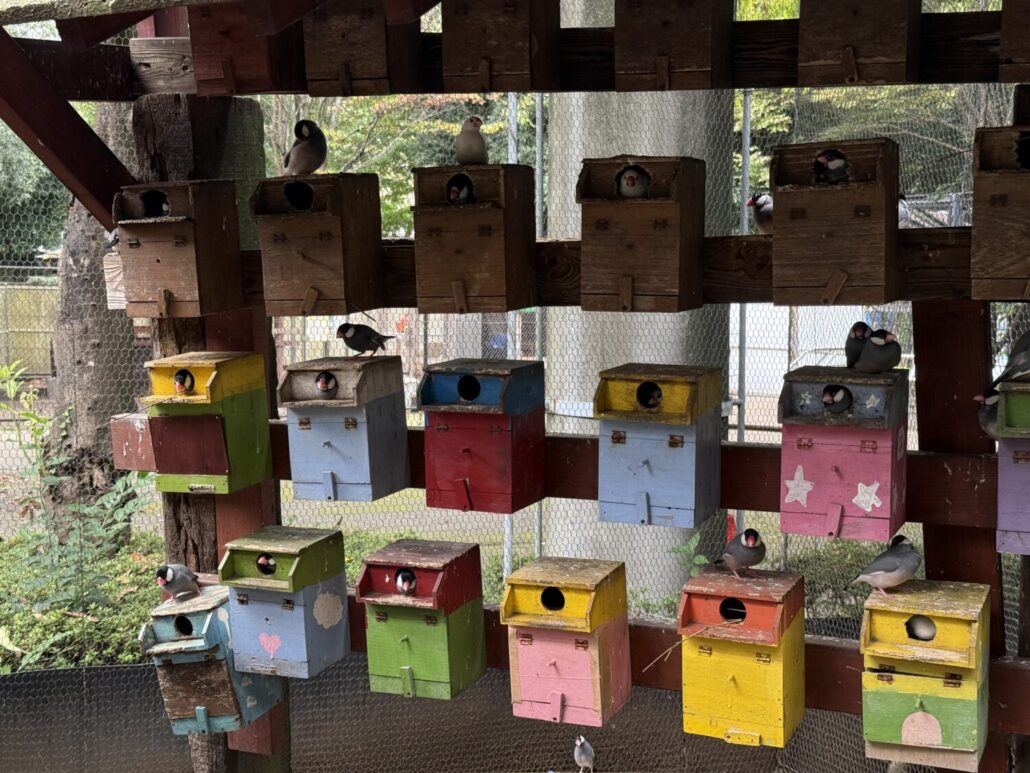 iPhone16 Pro実機レビュー！2ヶ月以上使ったメリット・デメリットを本音で暴露!新機能の使い心地は？ | 株式会社 IoTコンサルティング