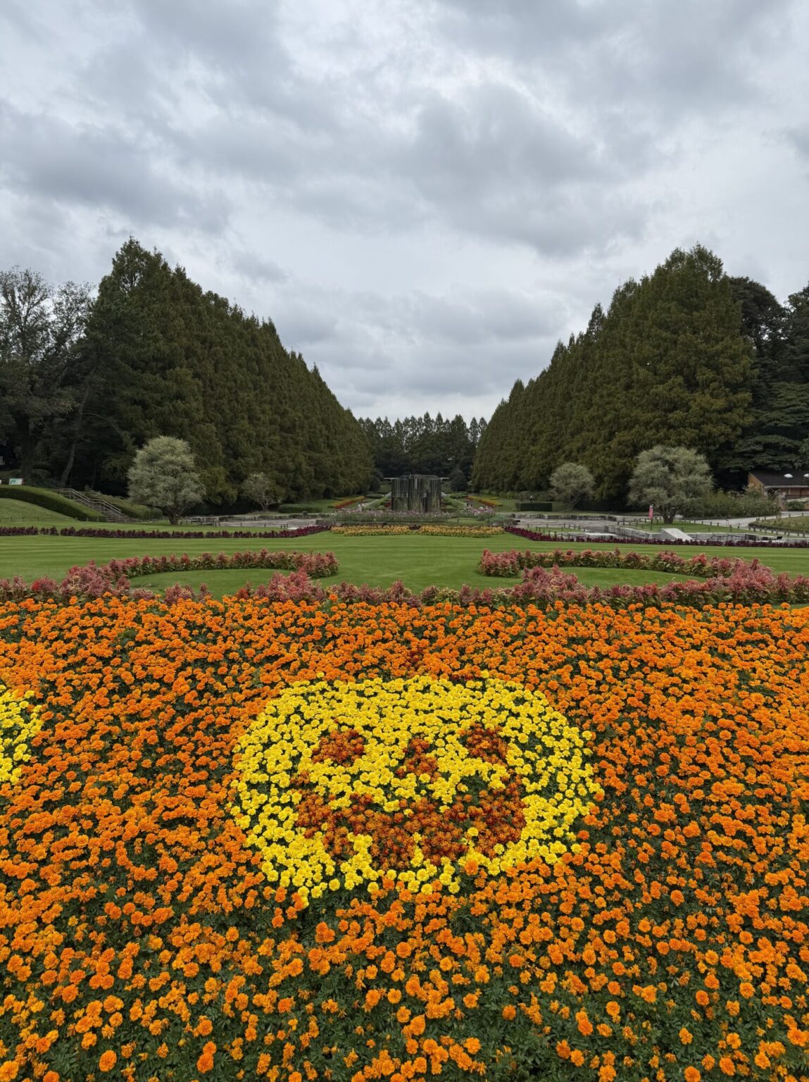 iPhone16 Pro実機レビュー！2ヶ月以上使ったメリット・デメリットを本音で暴露!新機能の使い心地は？ | 株式会社 IoTコンサルティング