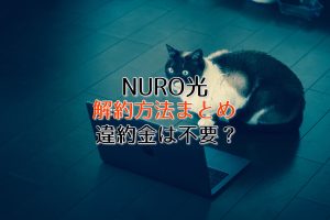 NURO光とNTTのフレッツ光はどっちがいい？徹底比較します！ – 回線先生/4NET